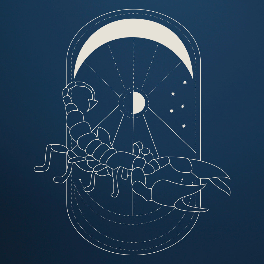 Square_30ca75ee-3257-4d6d-85ac-3515f4c47a4c_1200x1200.jpg?v=1572842495